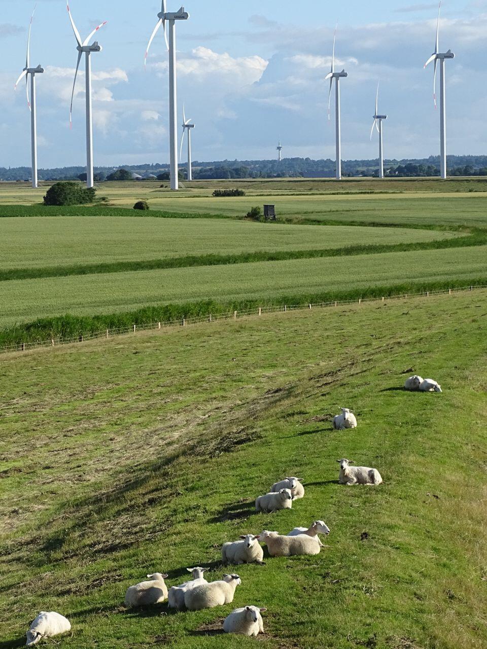 Staat van het platteland